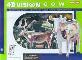 4D VISION COW ANATOMY MODEL | Lee's Toy and Hobby