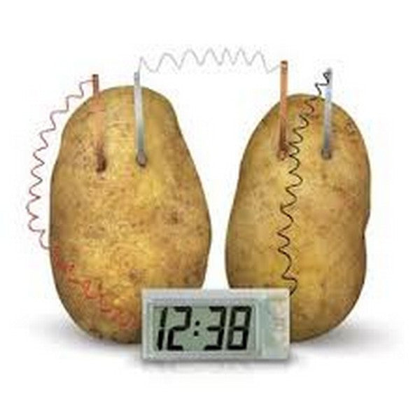 POTATO CLOCK | Lee's Toy and Hobby